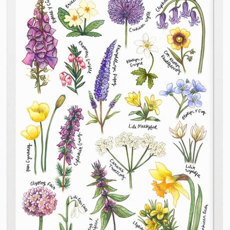 Shop with us - Siop Sioned